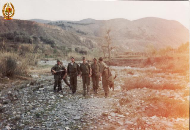 Galeria de fotos particulares de remplazo/COE 92 1986/COE 92 1986_0010